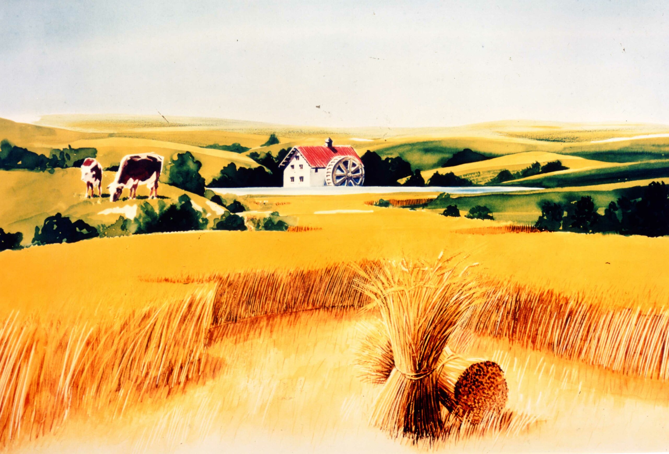 1975-2025: THE MILESTONES OF A 50-YEAR JOURNEY - Archivio Storico Barilla